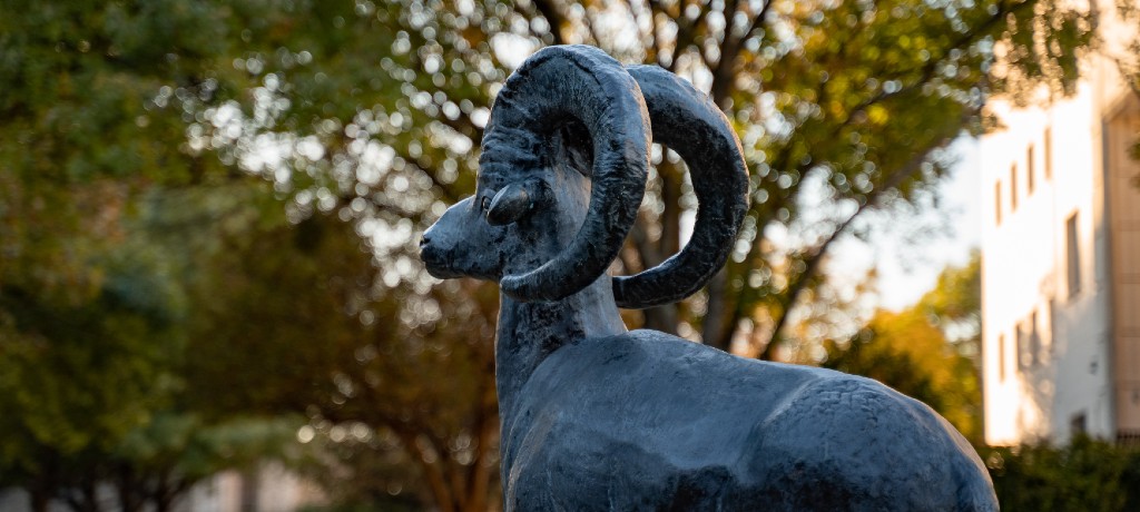 Home - Texas Wesleyan University